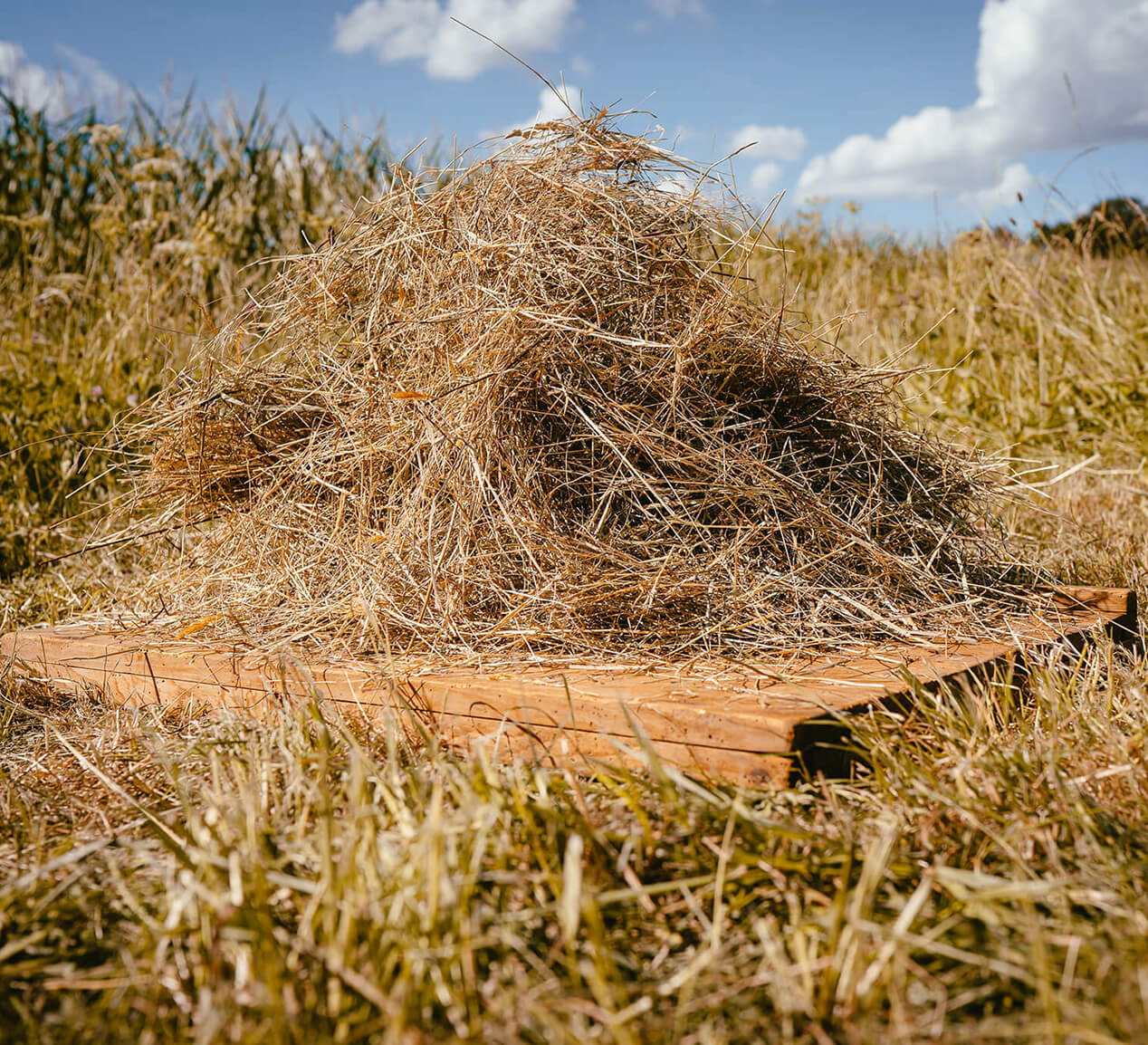 Chiemseer Heuliebe | STROH, HEU UND MEHR FÜR DEIN KLEINTIER