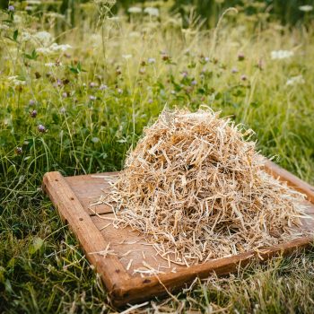 STROH | Chiemseer Heuliebe